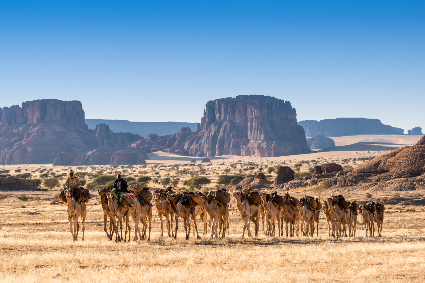 Destination Focus: Chad | AMADI