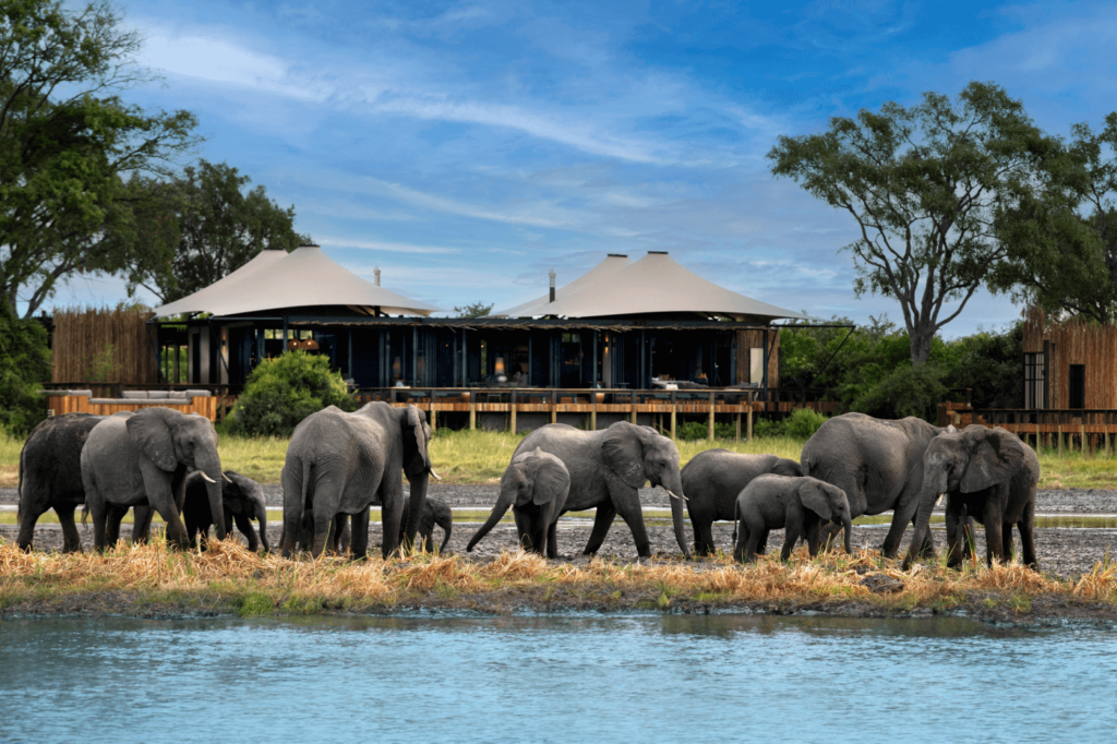 Daunara Accommodation Spotlight | AMADI